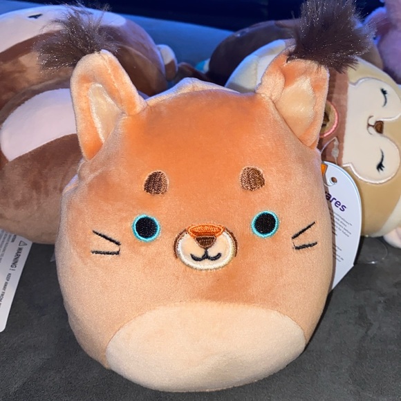 Squishmallows | Toys | Squishmallows Ferraz The Caracal Cat | Poshmark